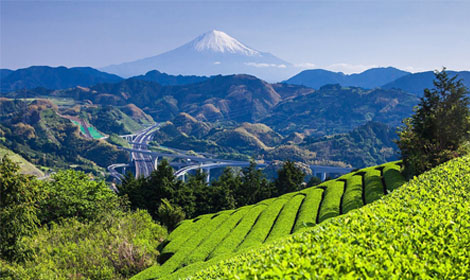 About Us - MicroSupport Co., Ltd.