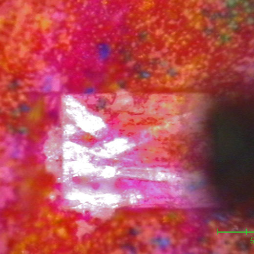 アプリケーション - MicroSupport Co.,Ltd.