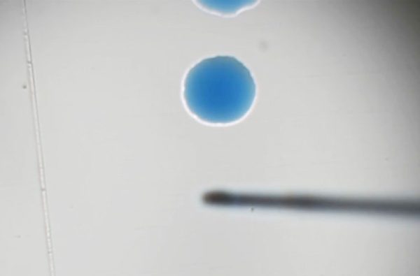 AxisPro software control enables Z axis motion to synchronize ...