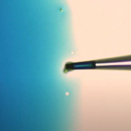 Glass Tool - MicroSupport Co., Ltd.