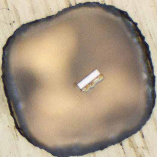 Glass Tool - MicroSupport Co., Ltd.