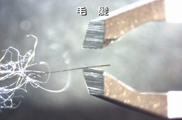 5μm tungsten wires can be cut using microtweezers - MicroSupport Co., Ltd.