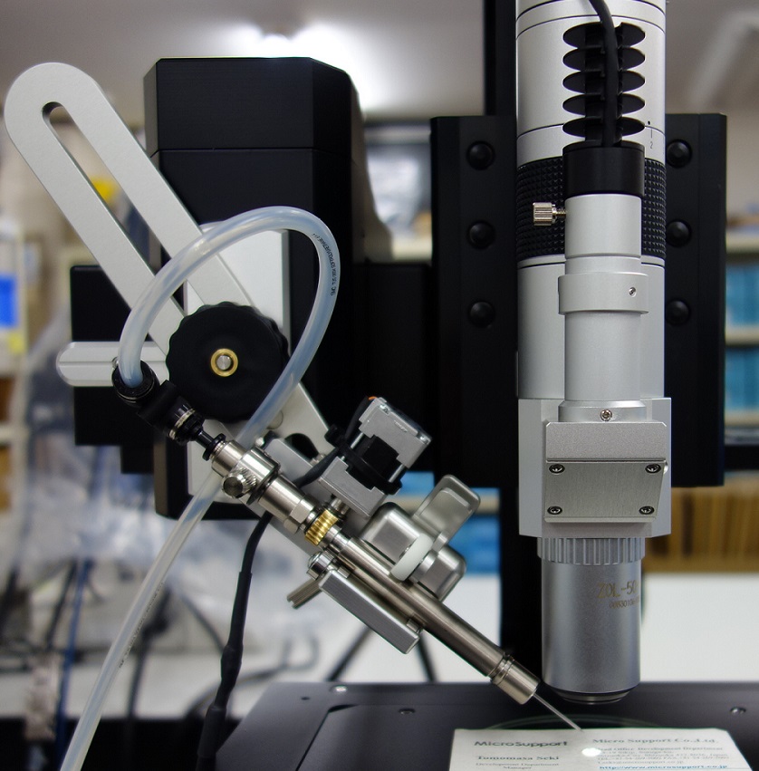 Microsupport newsletter Vol.1 - MicroSupport Co., Ltd.