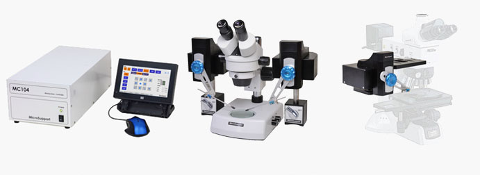 MicroSupport Newsletter Vol.6 - MicroSupport Co., Ltd.