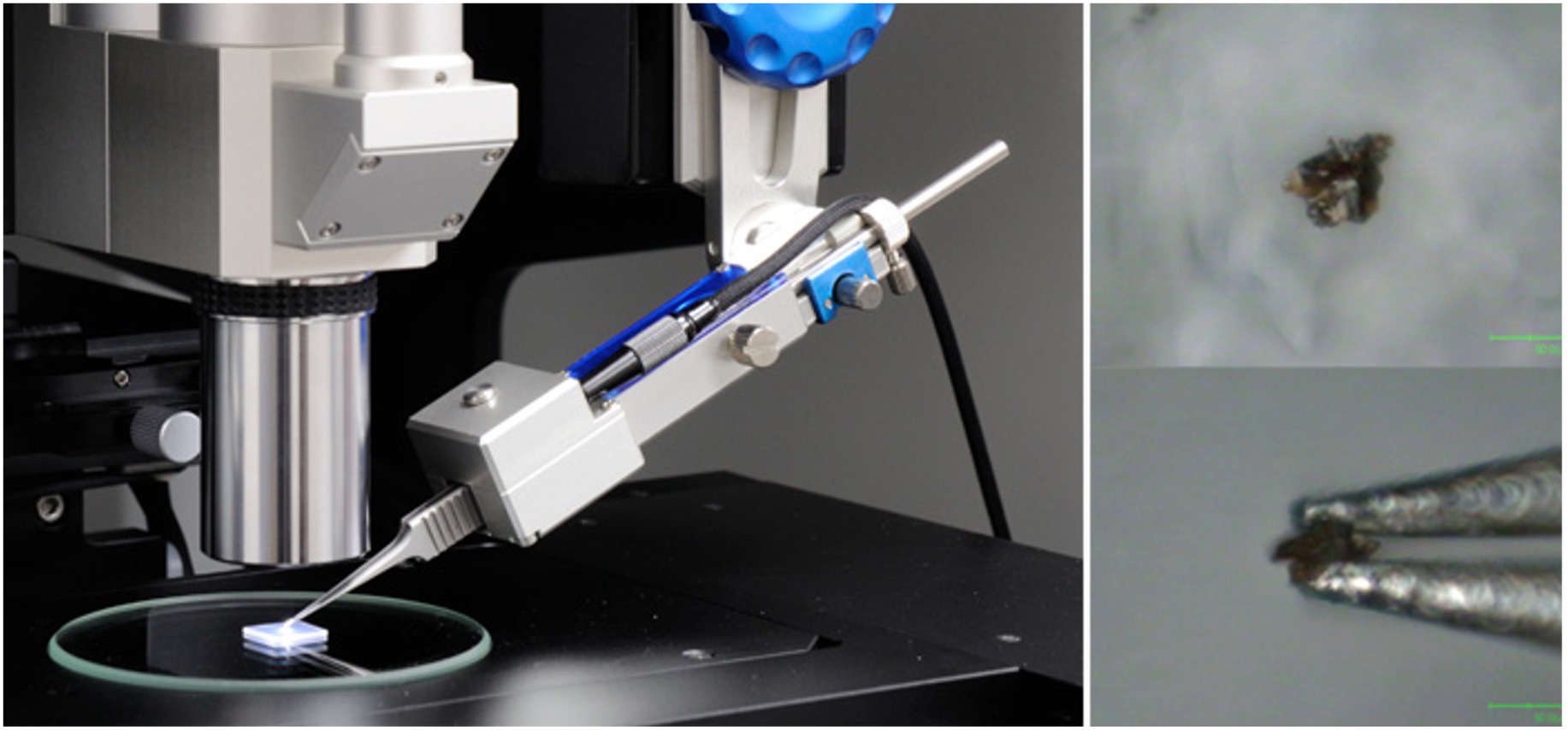 PARTICLE AND DEFECT ISOLATION WITH A BENCHTOP MICROMANIPULATOR ...