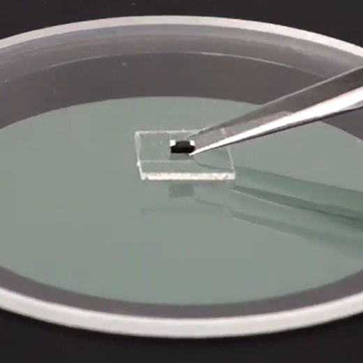 MICROSUPPORT | Micromanipulator accessories | Micromanipulator manufacturer