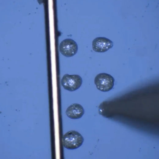 MICROSUPPORT | Micromanipulator accessories | Micromanipulator manufacturer