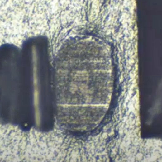 MICROSUPPORT | Micromanipulator accessories | Micromanipulator manufacturer